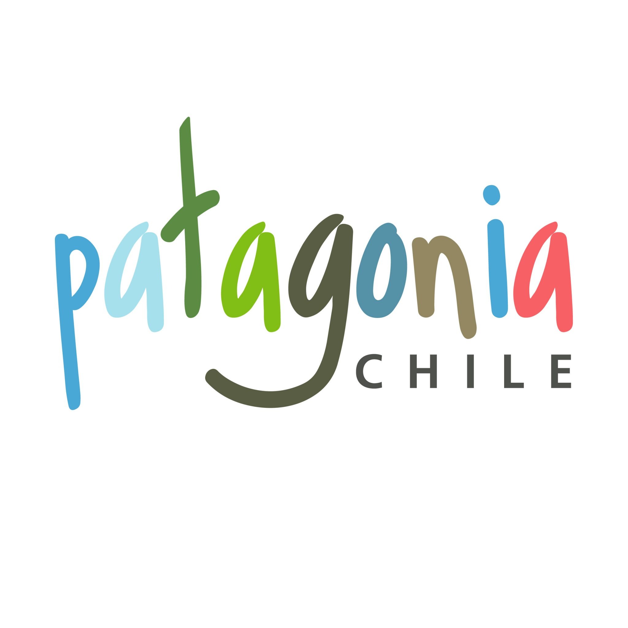 Black And White Patagonia Logo