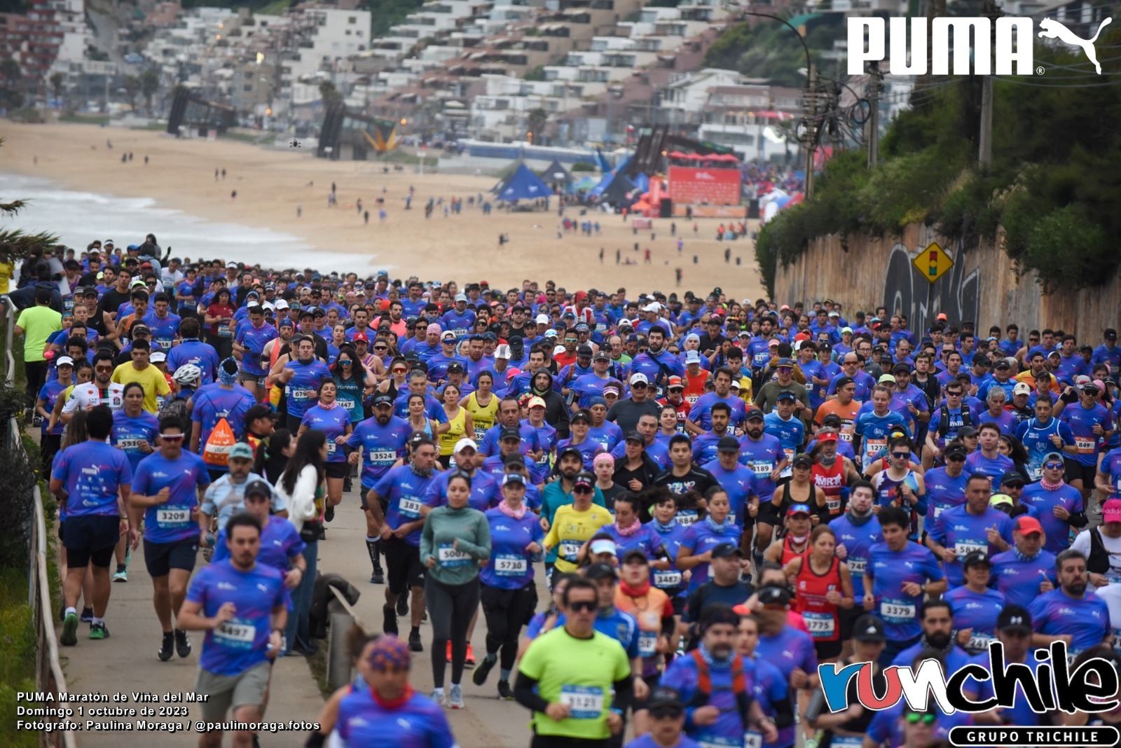 ¡Abiertas las inscripciones para el Puma Maratón de Viña del Mar 2024 ...