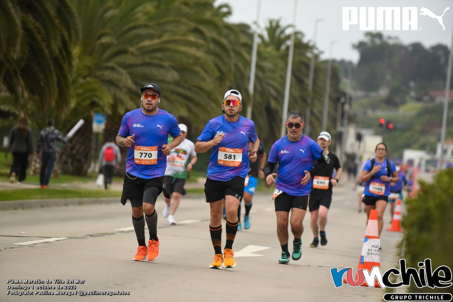 Todo sobre PUMA Maratón Viña del Mar 2024 - Runchile.cl